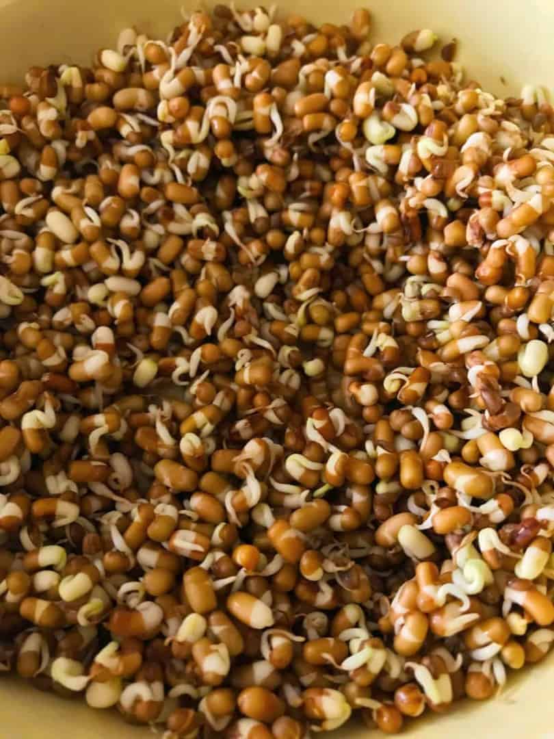 Matki Ussal | Indian Sprouted Beans | Pressure Cooker - TwoSleevers