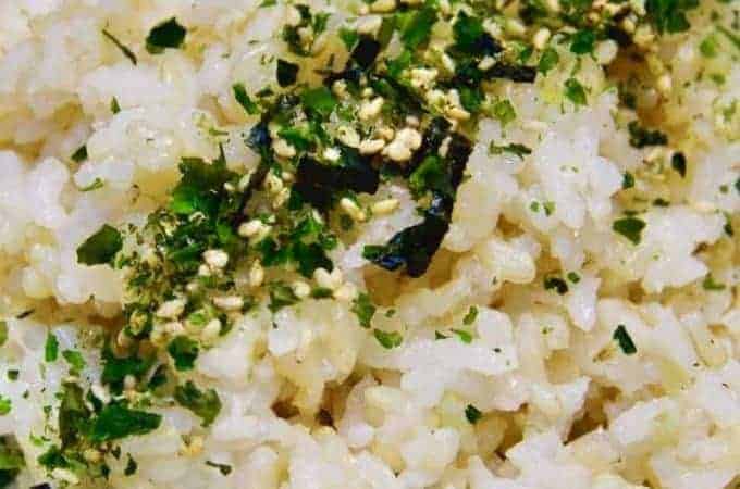 Instant Pot DIY Hapa Rice with Sprouted Brown Rice – Two Sleevers