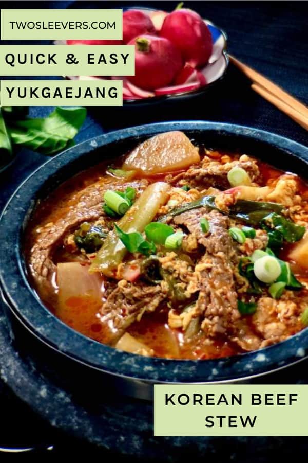 Yukgaejang | Make A Spicy And Keto Korean Beef Stew!