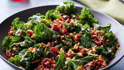 49+ Best Instant Pot Rice and Grains Recipes | TwoSleevers