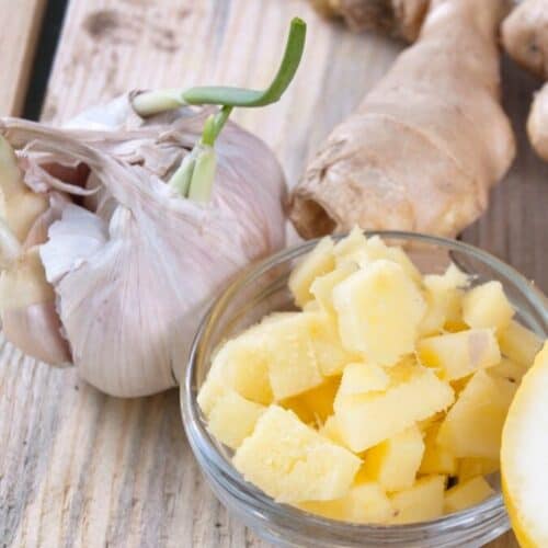 Ginger Garlic Paste Recipe | A Flavorful Addition To Indian Dishes